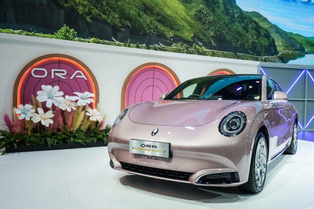 2024 ORA 07 ชื่อใหม่เหมียวไฮโซปราบแมวน้ำ มาไทยพฤศจิกายน